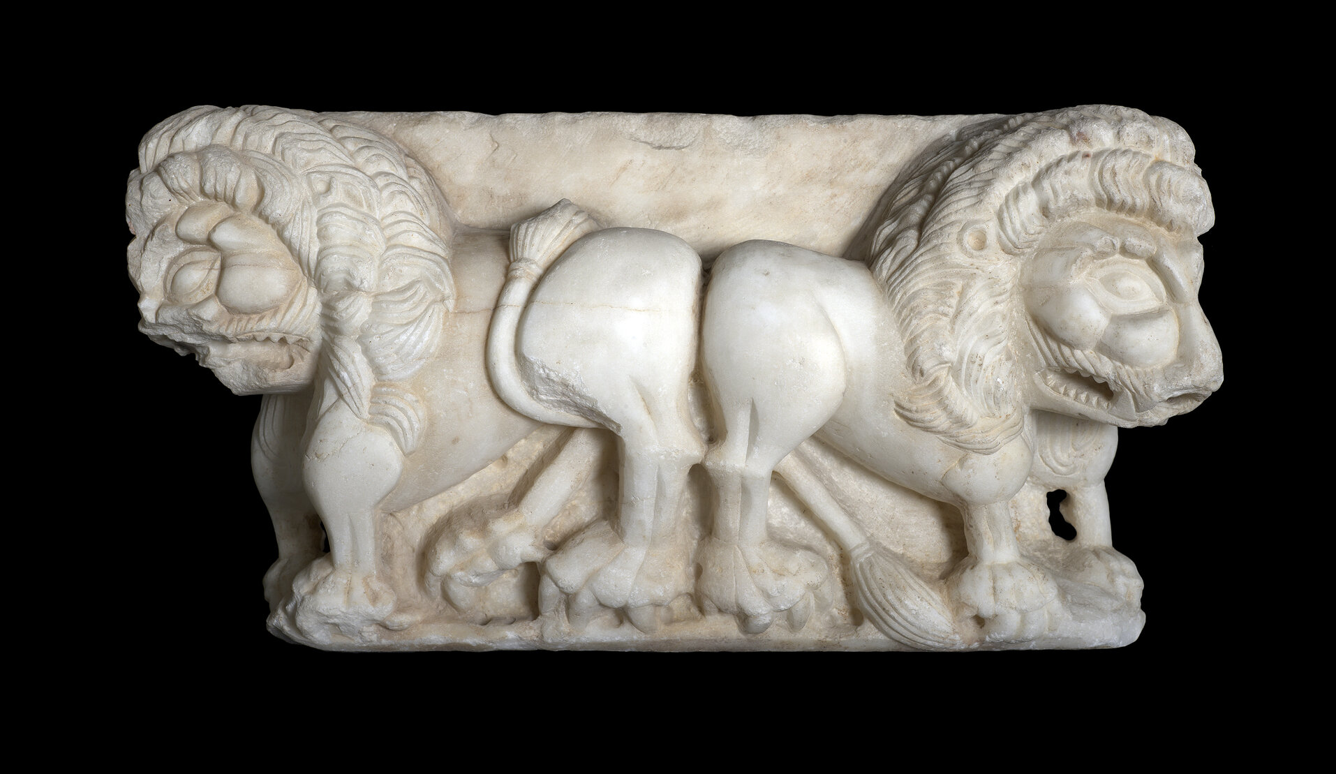 Capitello con due leoni attergati | Musei di Genova